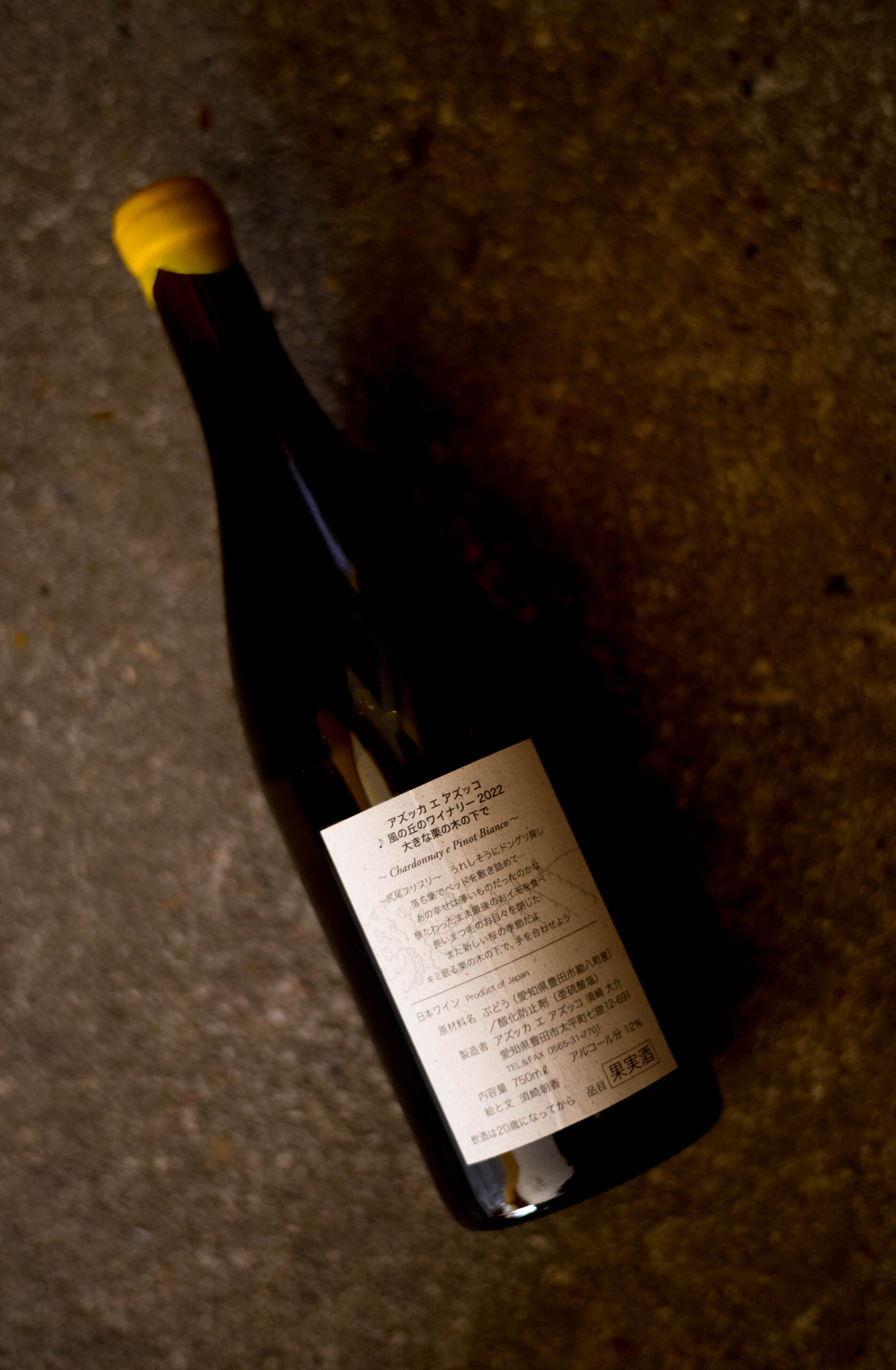 アズッカ エ アズッコ azucca e azucco 大きな栗の木の下で 2022【SOLD OUT】 - 富屋酒店 名古屋