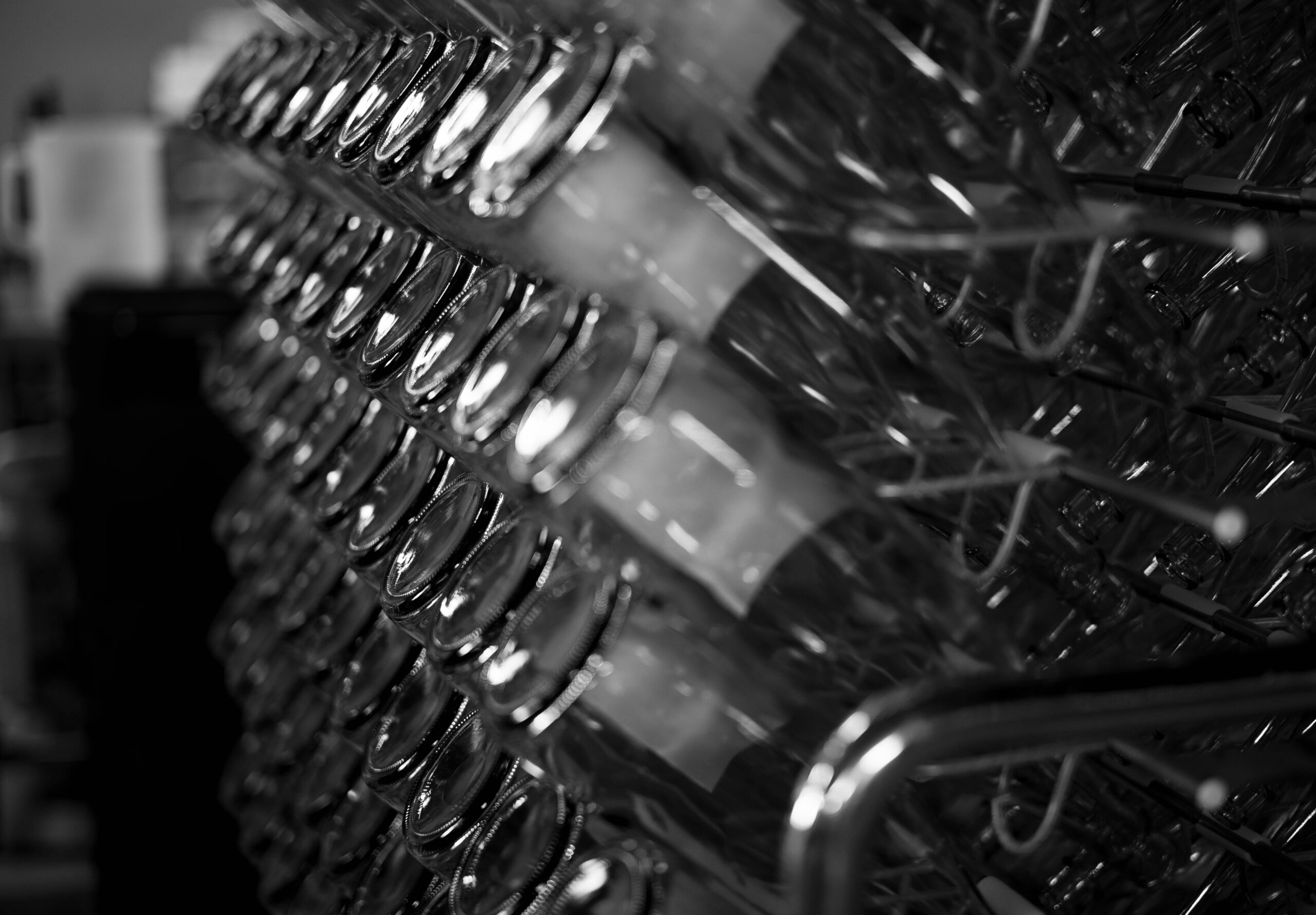 TABIKA SPECIAL JUNMAI HATTANNISHIKI NAMASAKE 【TOMIYA SPECIAL SPECIAL SPECIAL MODEⅬ】 2023 - 富屋酒店 名古屋